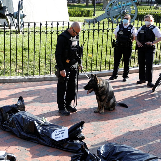 CDC officials: U.S. govt driven by politics, not science over COVID-19 ...