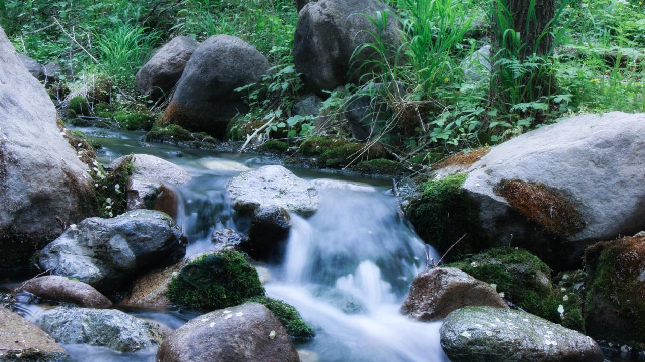 The traces of spring at the deep mountains in Beijing during summer - CGTN