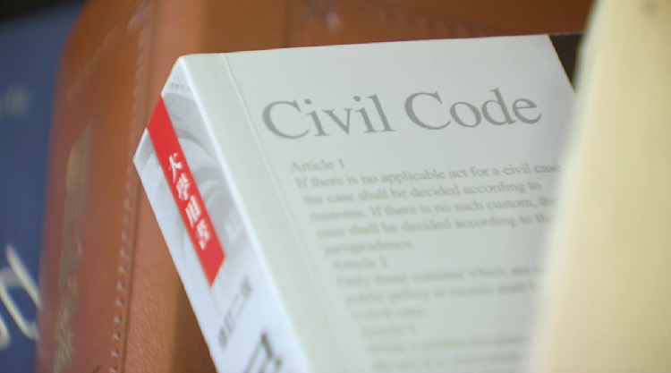 'A declaration for human rights': China to enact its first civil code ...