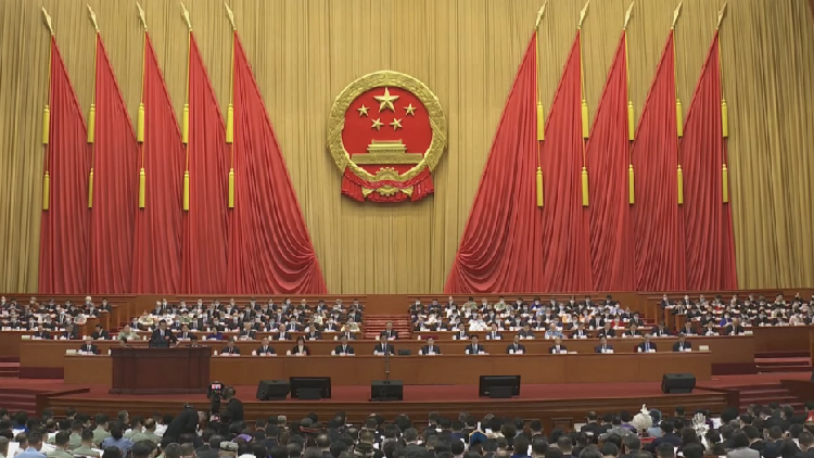 Highlights: Premier Li delivers 2020 government work report - CGTN