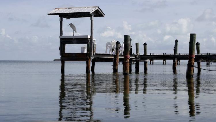 Florida Keys reopen to visitors as Miami-area beaches closed - CGTN