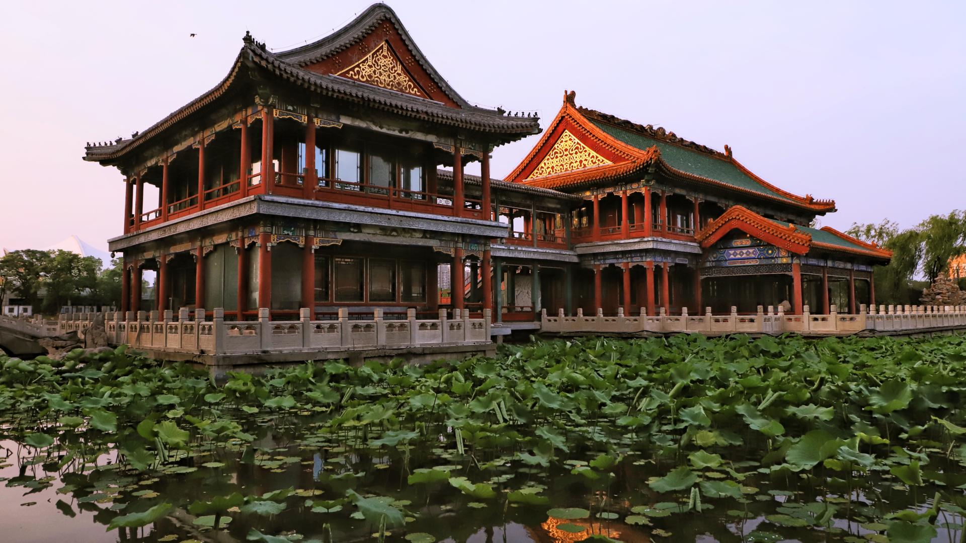 Urban nature's healing moments: Beijing parks in summer - CGTN