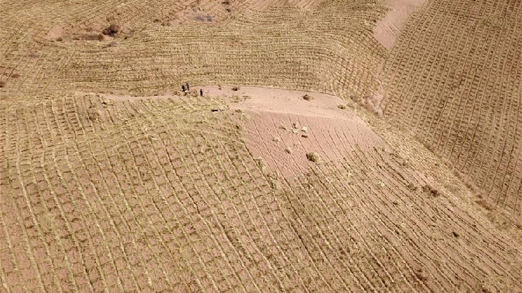 China continues anti-desertification drive, sees positive results - CGTN