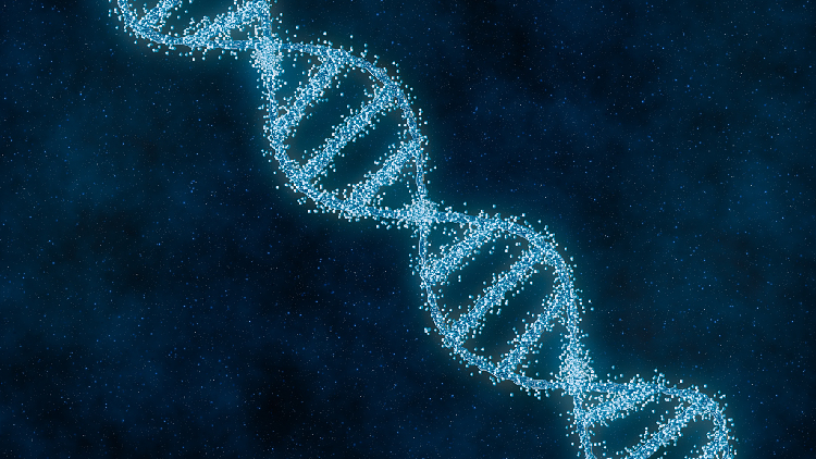 China releases gene sequence data of Beijing COVID-19 strain - CGTN
