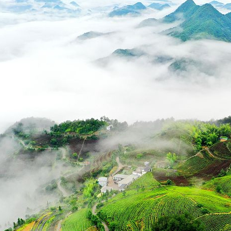 Aerial view of a sea of clouds in E China - CGTN