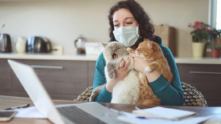 WHO: Little evidence shows pets can infect humans with COVID-19 - CGTN