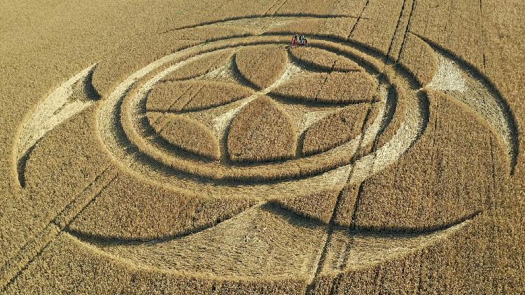 Mysterious crop circle appears in France - CGTN