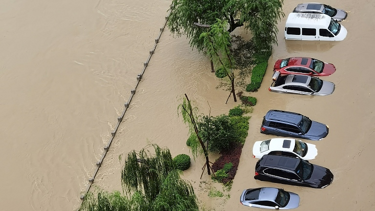 Live: Latest on flood situation in S China - CGTN