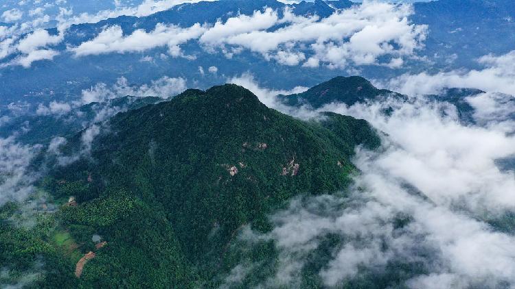Blade-like peaks of Hubei's Dabie Mountains shrouded in clouds - CGTN