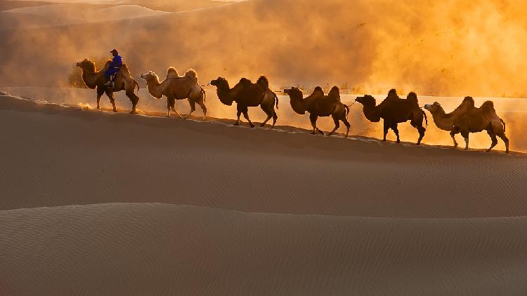 Live: Decoding the history of the Silk Road at China Silk Museum - CGTN