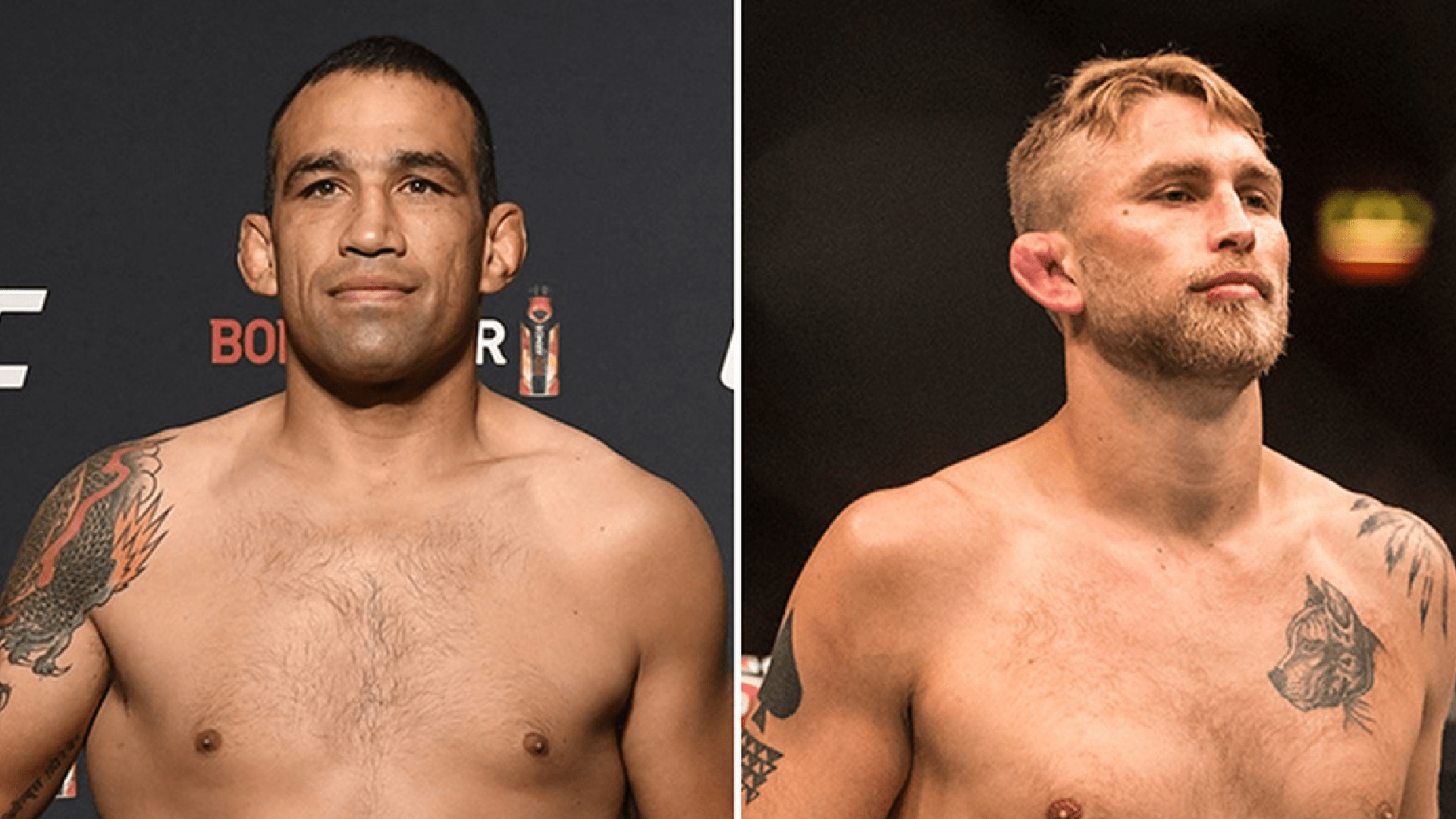 UFC Fight Night: Gustafsson makes HW debut against veteran Werdum - CGTN