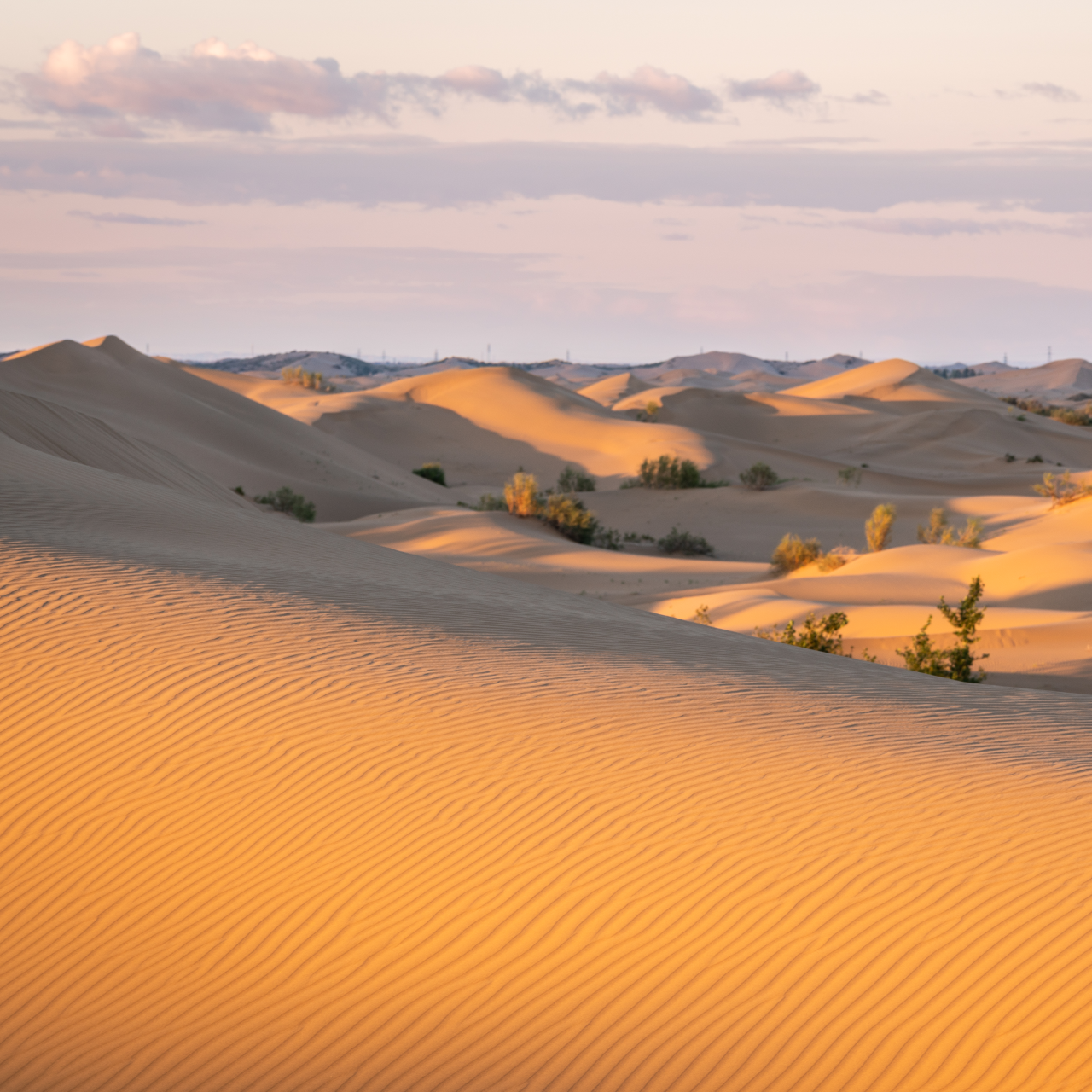 Build a green oasis in Maowusu Desert in N China - CGTN