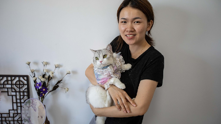 Woman makes profit by making traditional Chinese clothes for cats - CGTN