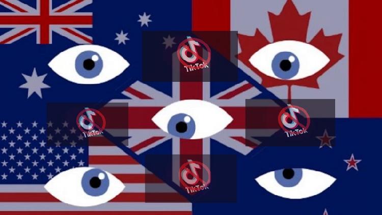 The five-eyed monster has its sights on TikTok - CGTN