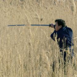 Miaodao saber: An important cold weapon from ancient battlefields - CGTN