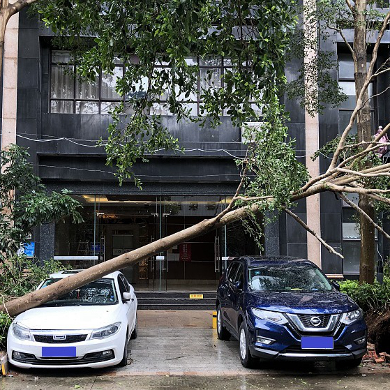 Typhoon Higos makes landfall in S China - CGTN