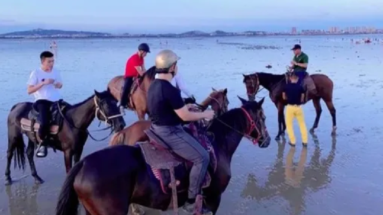 Man volunteers to help last of three horses that saved drowning boy - CGTN