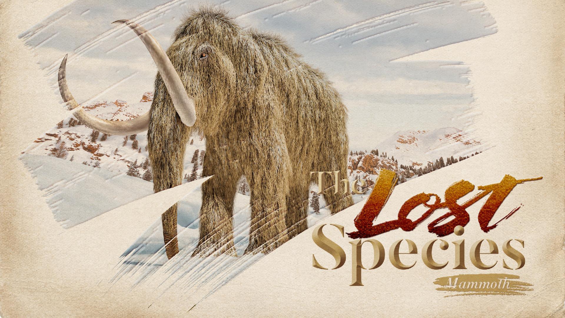 Mammoth: Prehistoric giants mythically extinct - CGTN