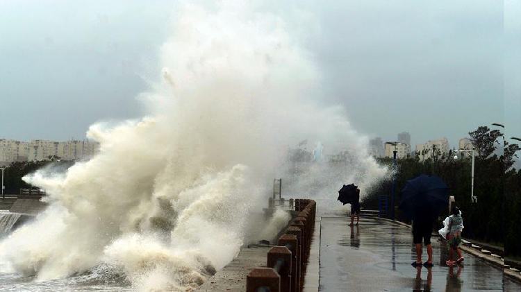 China braces for Typhoon Bavi after its landfall in DPRK - CGTN