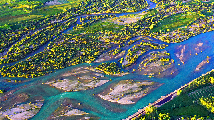 The jade dragon travelling through wetlands and villages - CGTN