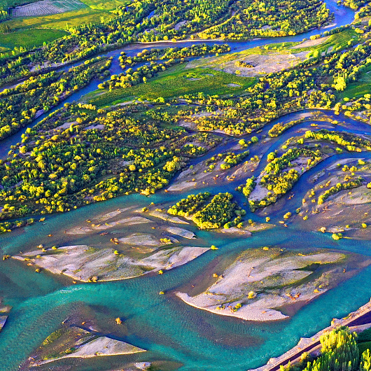 The jade dragon travelling through wetlands and villages - CGTN