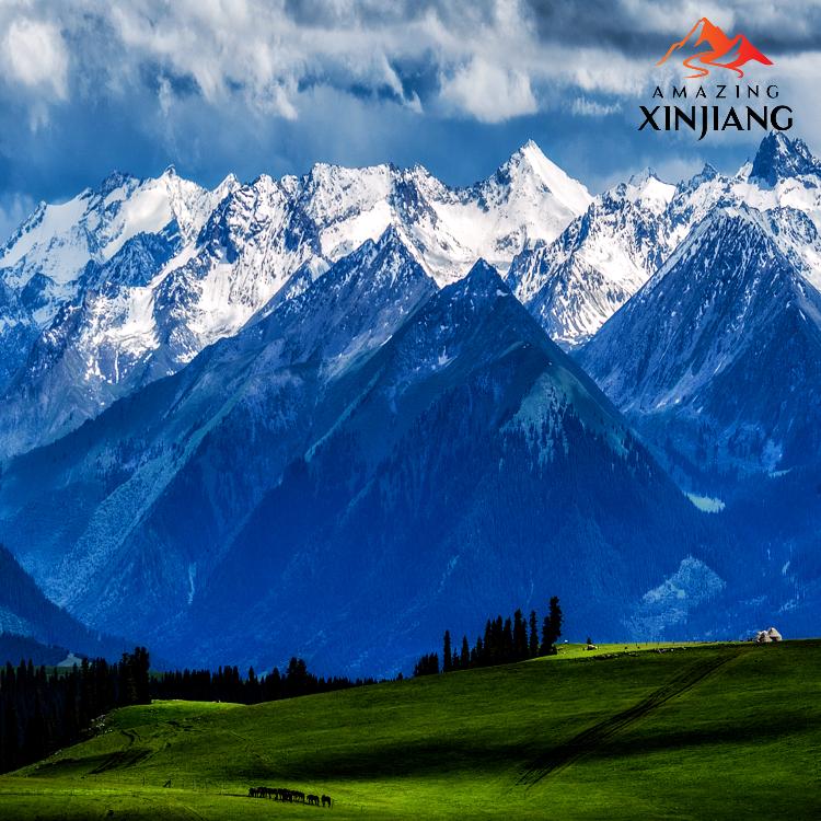Live: Enchanting scenery at Kalajun in NW China's Xinjiang - CGTN