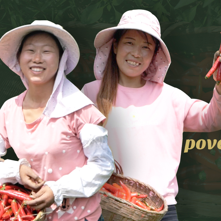 Poverty alleviation measures empower rural women in NW China - CGTN