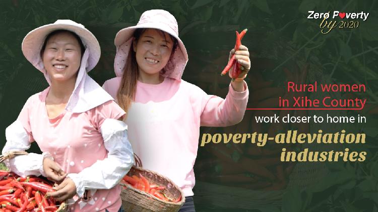 Poverty alleviation measures empower rural women in NW China - CGTN