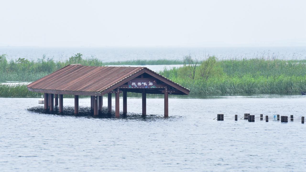 Authorities to improve flood control and water quality in Taihu basin ...