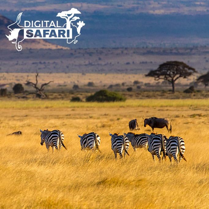 Live: Journey through the southern African terrain - CGTN