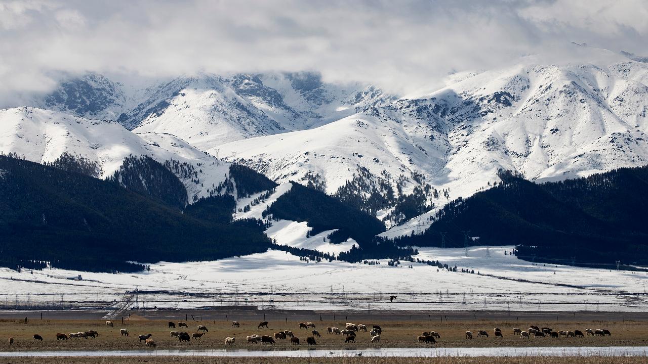 First snow in northern Tianshan Mountains lightens up the land - CGTN