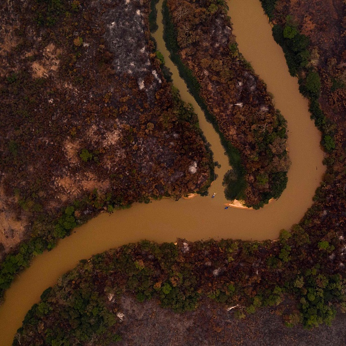 Pantanal, Brazilian wetland sanctuary, burns - CGTN
