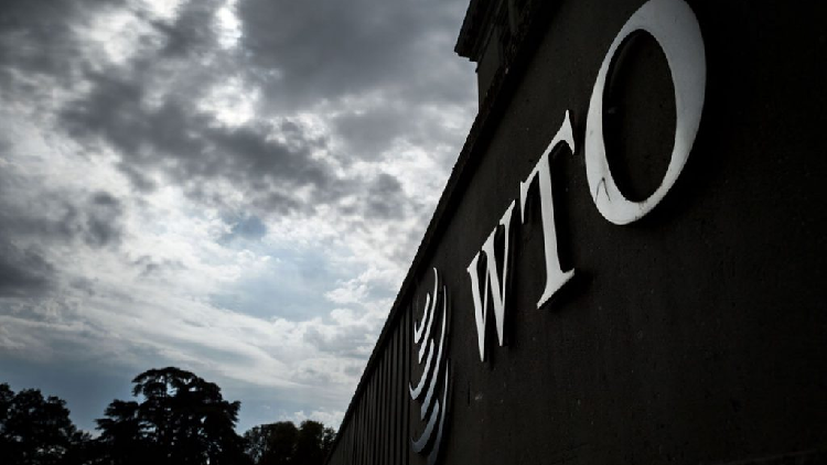 What does the WTO ruling mean for the United States? - CGTN