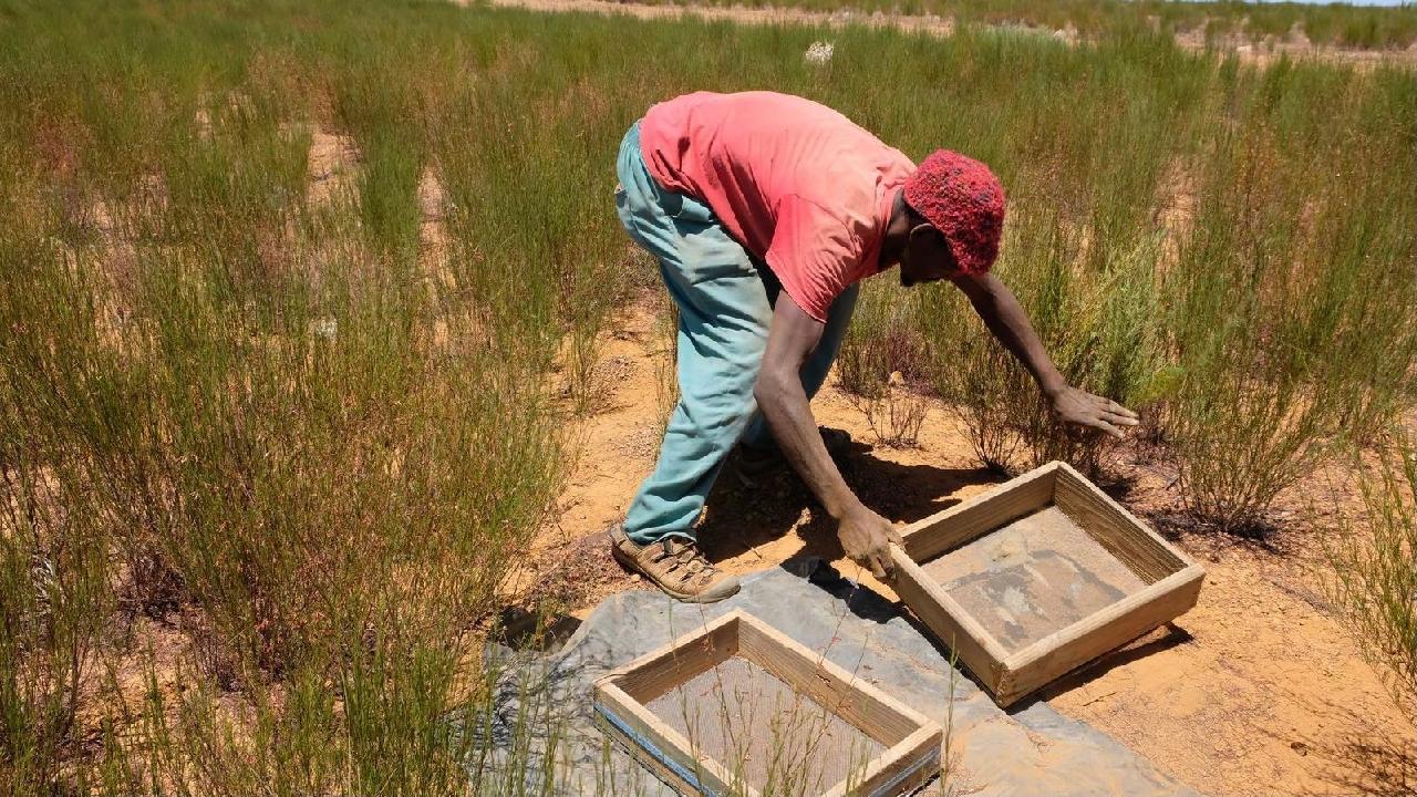 World leaders pledge to protect nature ahead of biodiversity summit - CGTN
