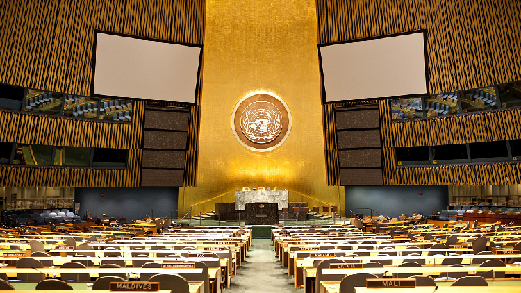 President Xi's UNGA activities show China's support for UN - CGTN