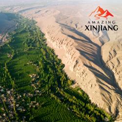 Live: Explore the sweetness of Grape Valley in Turpan, Xinjiang - CGTN