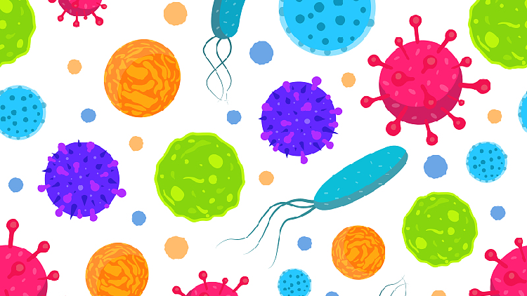 Airborne bacteria affected by weather, long-distance transportation - CGTN