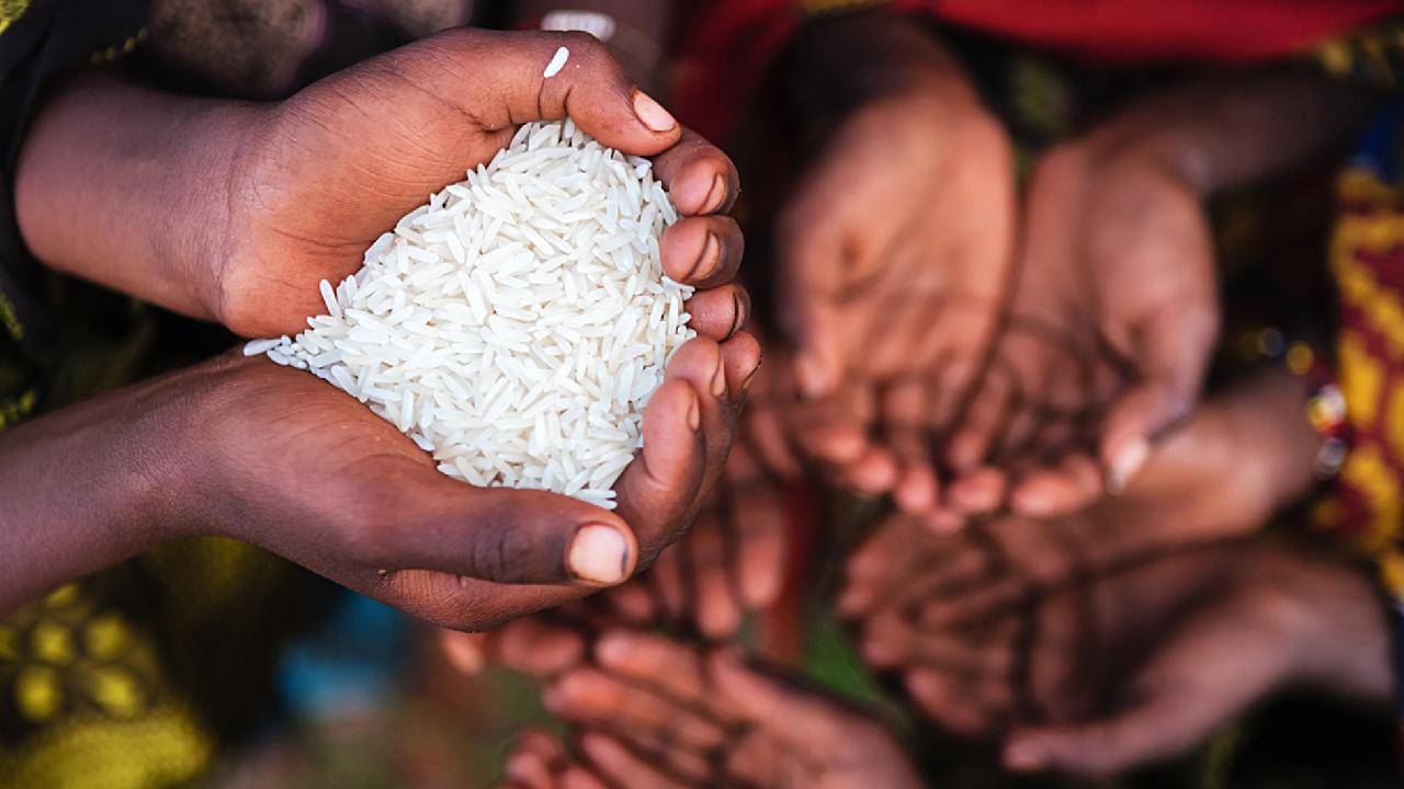UN World Food Programme awarded 2020 Nobel Peace Prize - CGTN