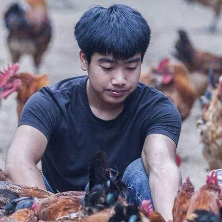 Meet the 'chicken commander' who leads villagers in tackling poverty - CGTN