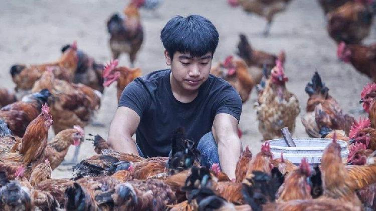 Meet the 'chicken commander' who leads villagers in tackling poverty - CGTN