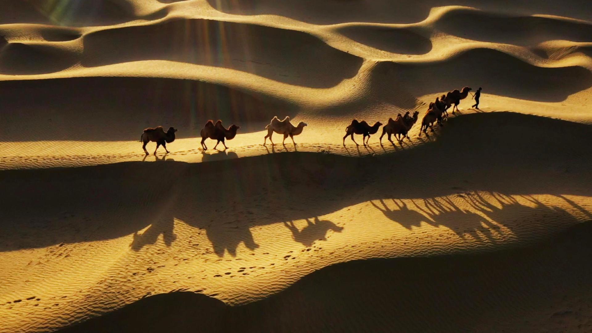 Aerial footage: Travels in the Taklamakan Desert - CGTN