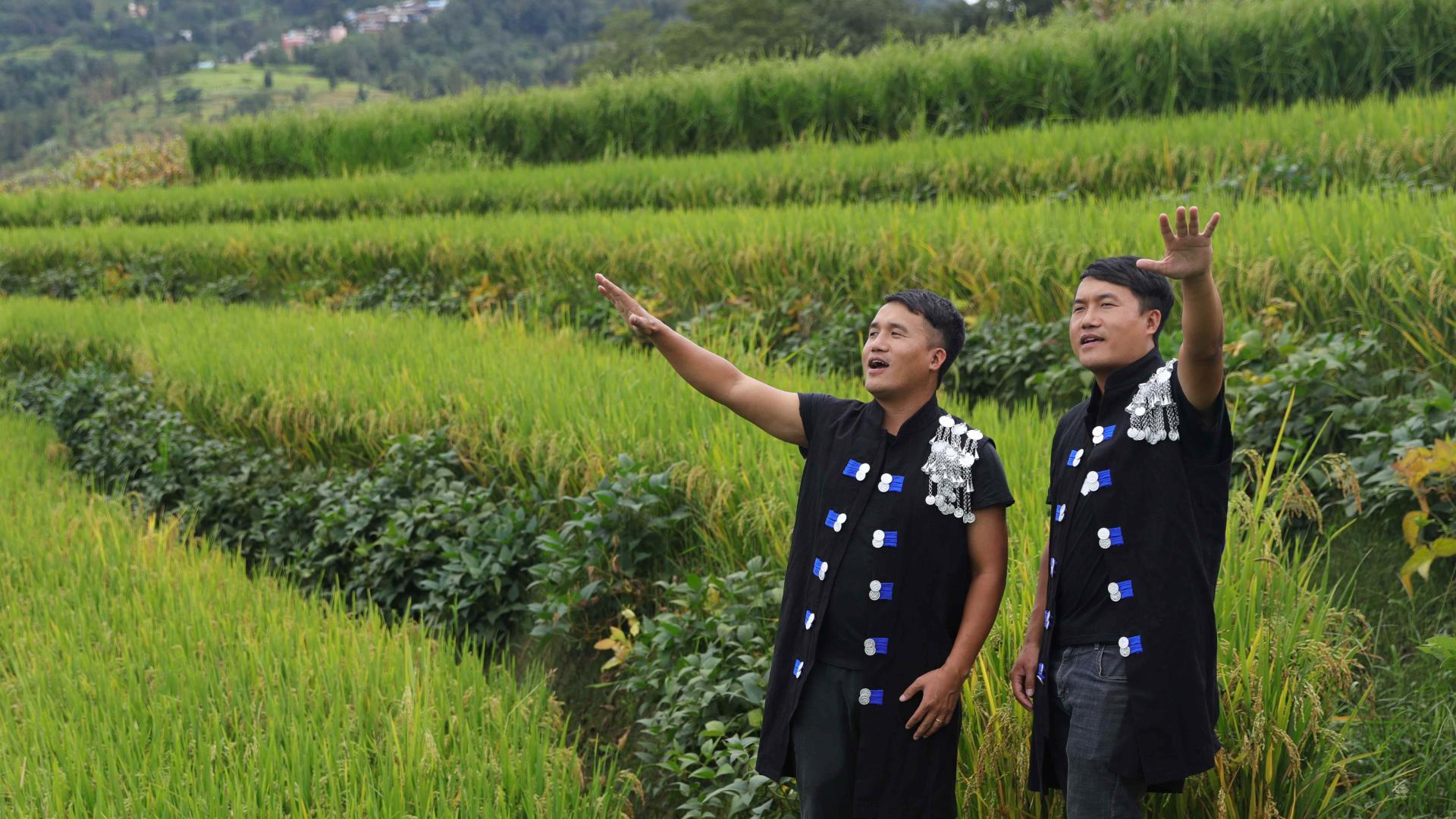 The Hamo Brothers: Recreating ancient Hani melody - CGTN
