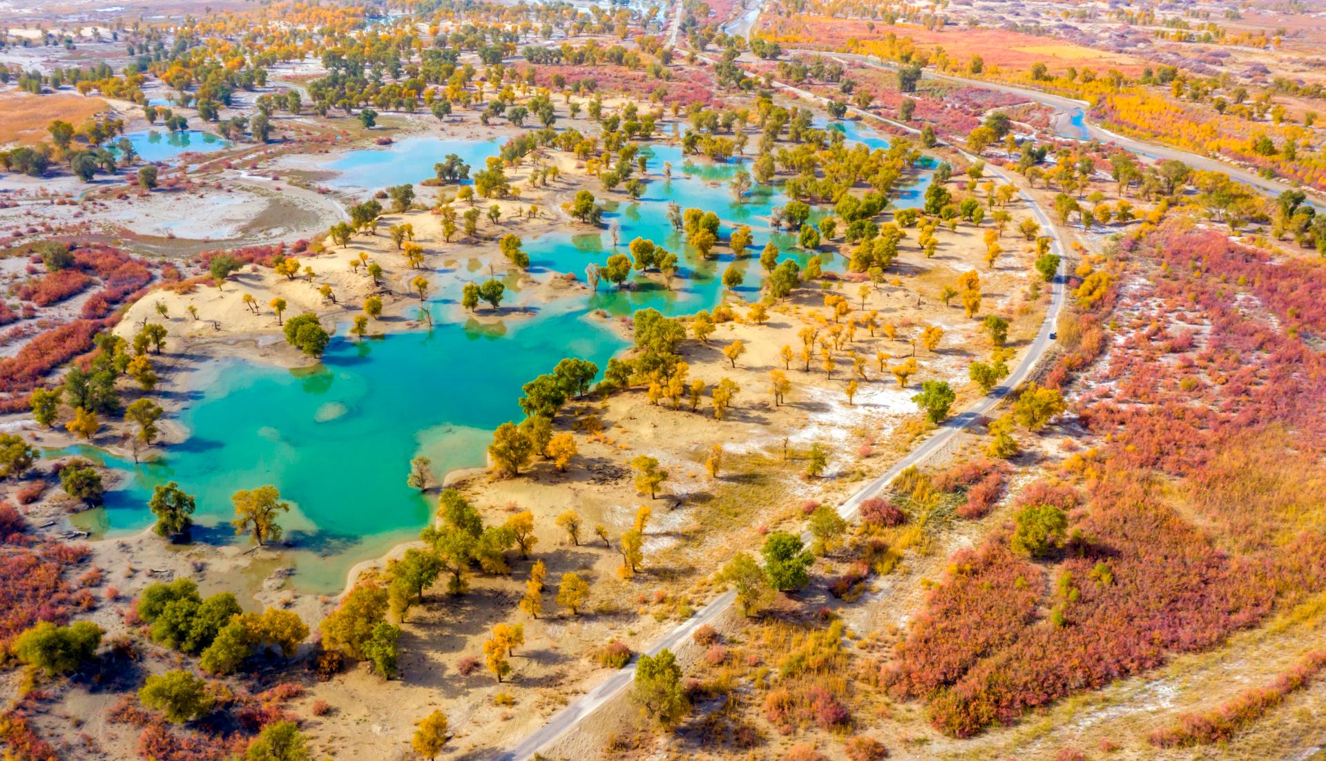 Desert, river, trees create picturesque autumn scenery in NW China - CGTN