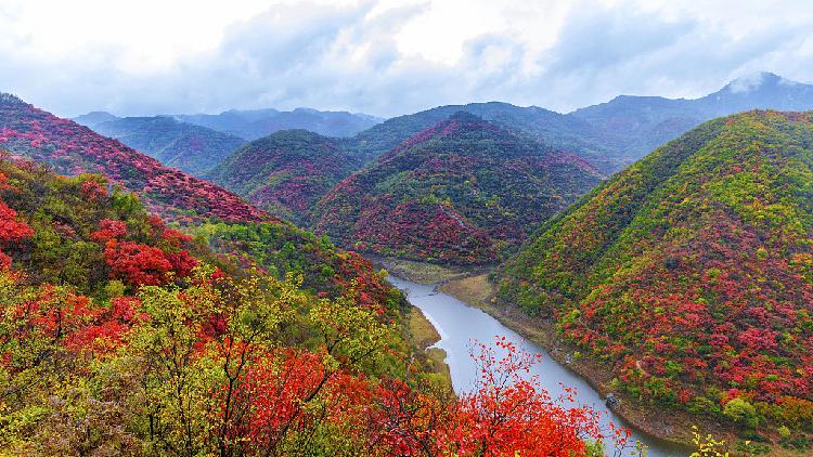 Autumn sceneries across China - CGTN