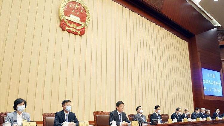China's top legislature concludes standing committee session - CGTN