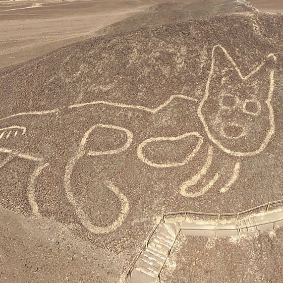 Peru discovers 2,000-year-old cat etching on hillside - CGTN