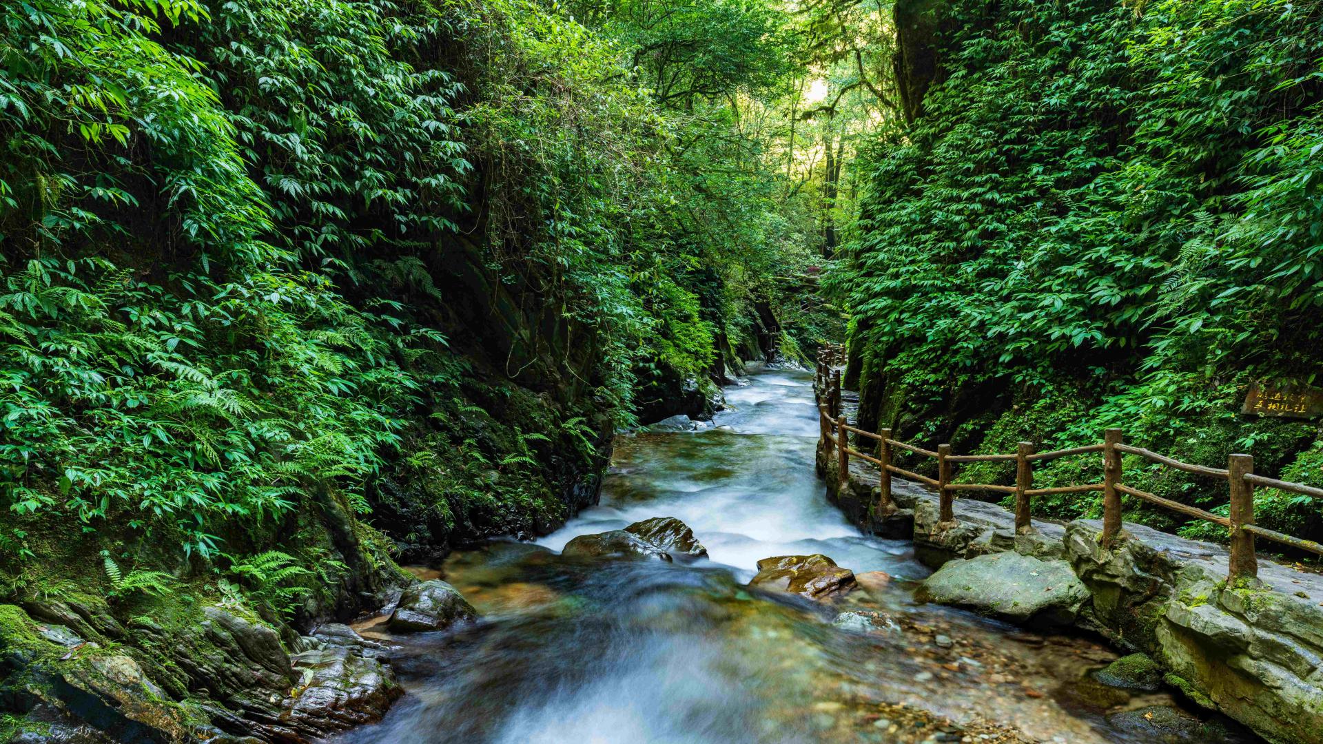 Living close to nature in SW China's Yunnan - CGTN