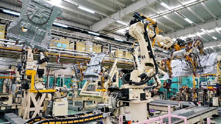 Dual circulation is an integral whole - CGTN