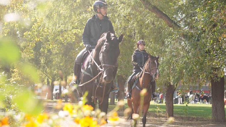 China's first urban horse trail opens in Beijing - CGTN