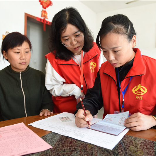 China begins 7th national population census - CGTN